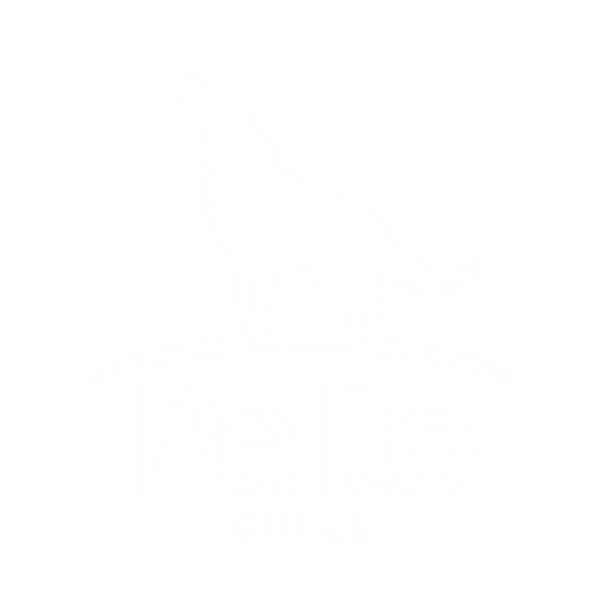Home - Pelto Cueros